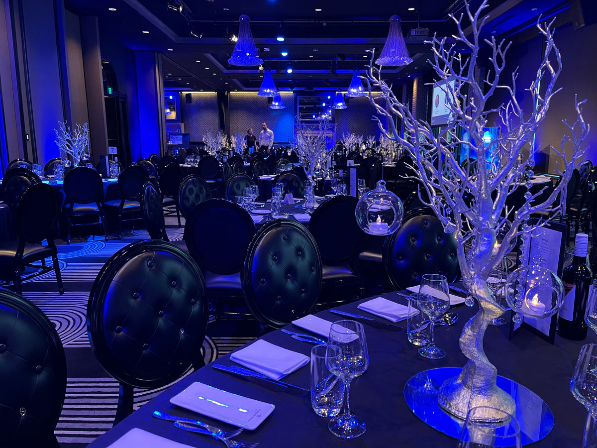 Silver and blue - Doltone House Hyde Park – Fairytale Events Pty Ltd